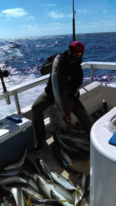 Photo Gallery - Ensenada Sportfishing