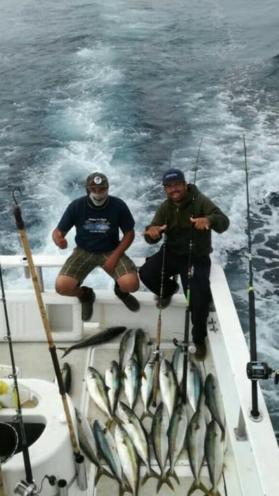 Photo Gallery - Ensenada Sportfishing