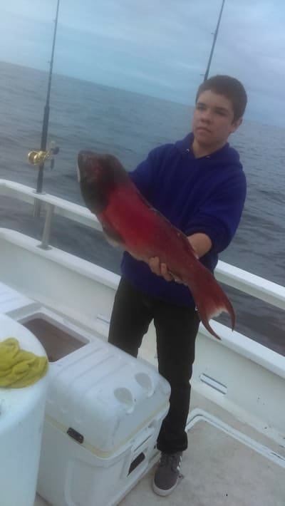 Photo Gallery - Ensenada Sportfishing