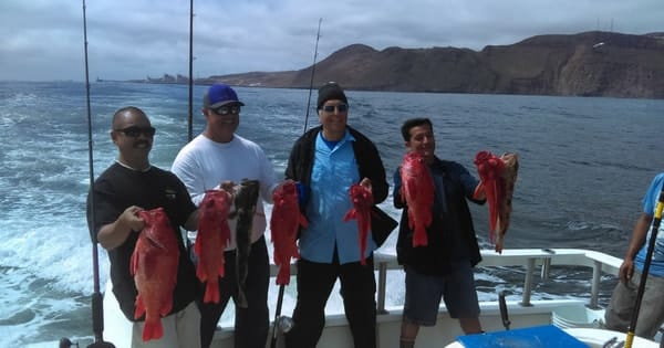 Photo Gallery - Ensenada Sportfishing