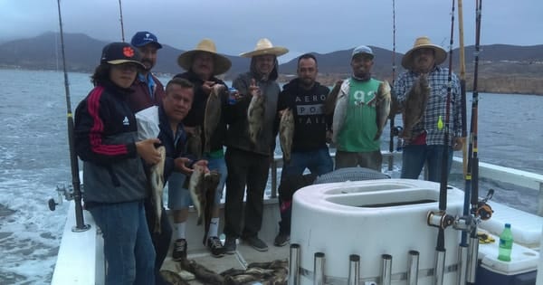 Photo Gallery - Ensenada Sportfishing