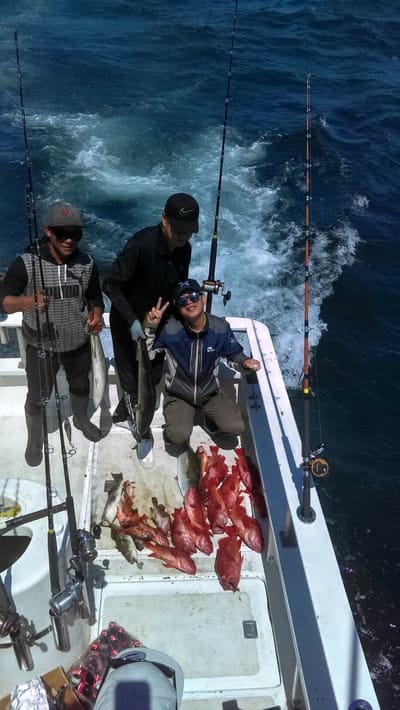Photo Gallery - Ensenada Sportfishing