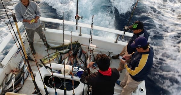Photo Gallery - Ensenada Sportfishing