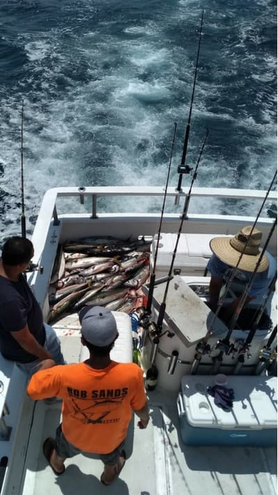 Photo Gallery - Ensenada Sportfishing