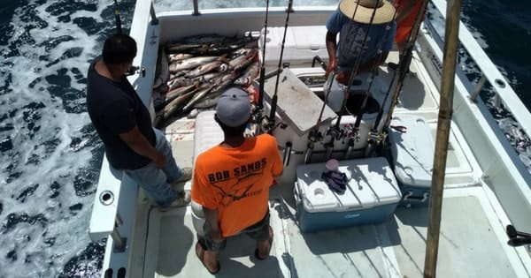 Photo Gallery - Ensenada Sportfishing