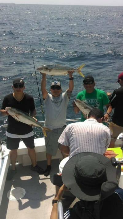 Photo Gallery - Ensenada Sportfishing