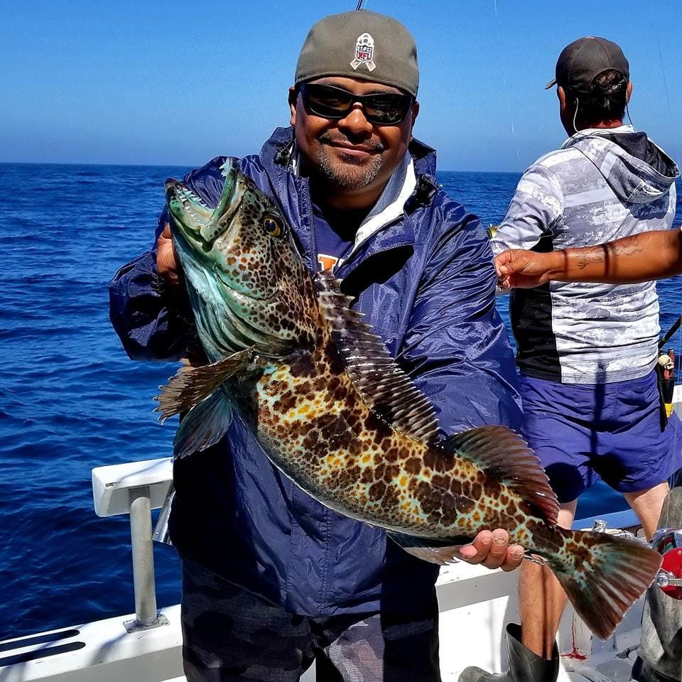 Photo Gallery - Ensenada Sportfishing