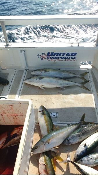 Photo Gallery - Ensenada Sportfishing